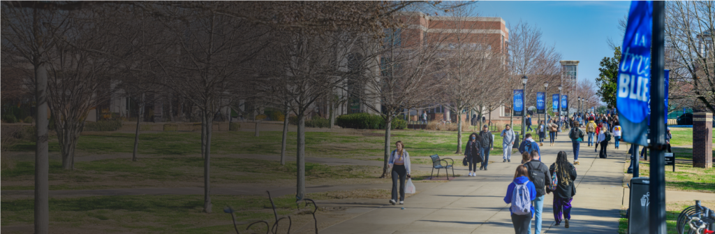 Meet the MTSU Online Team