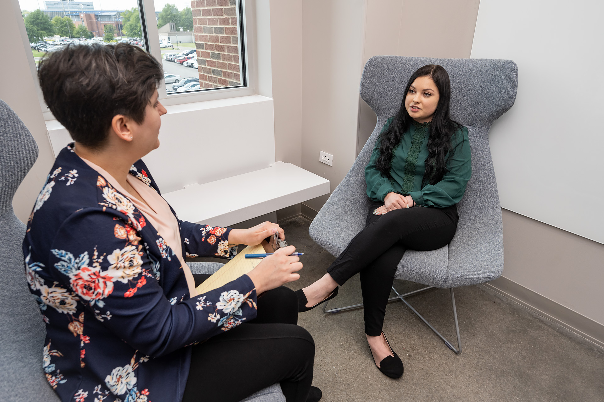 Professional Counseling, Clinical Mental Health Counseling ...