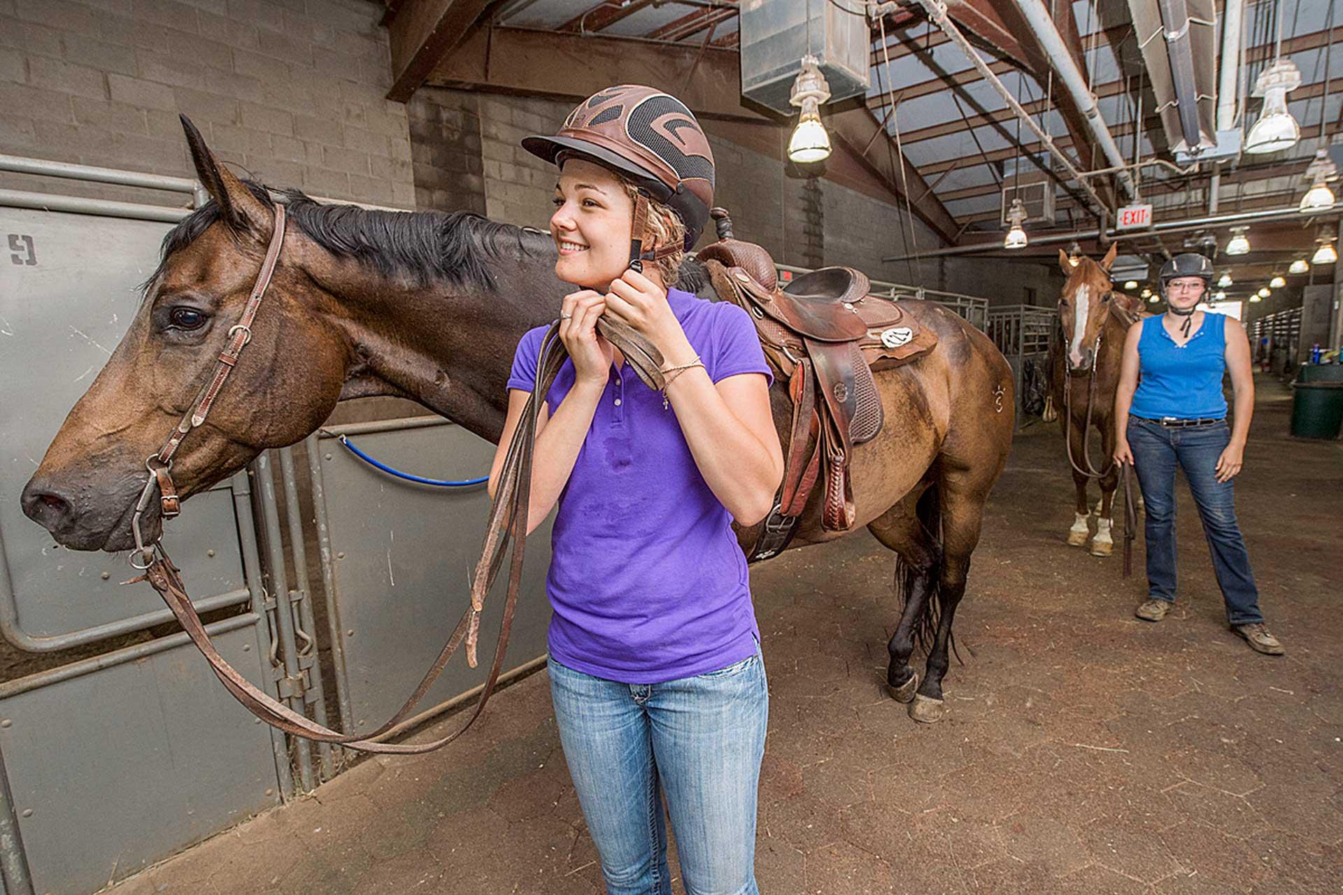 Horse Science, Equine Education Concentration, M.S.